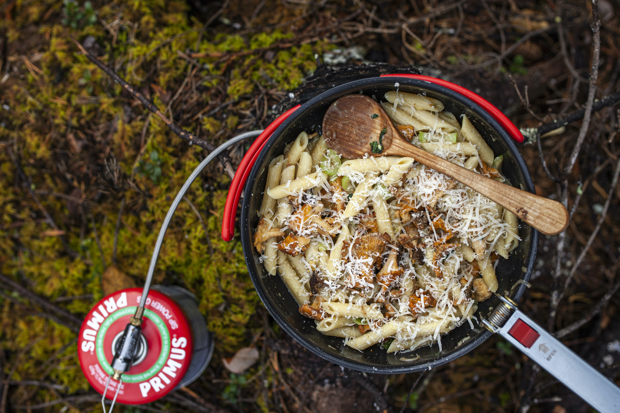 Pasta med blek taggsvamp och kantareller - Utemagasinet